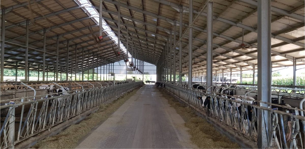 Società Agricola Cervi - AUTOFEED