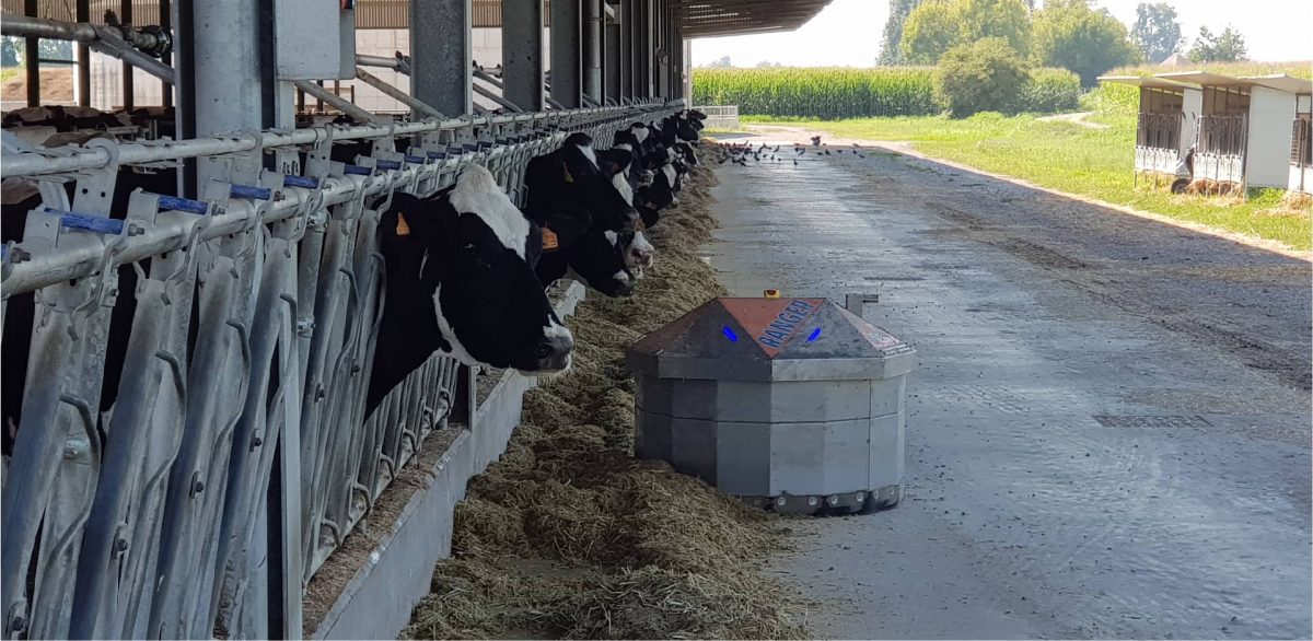 Società Agricola Cervi - AUTOFEED